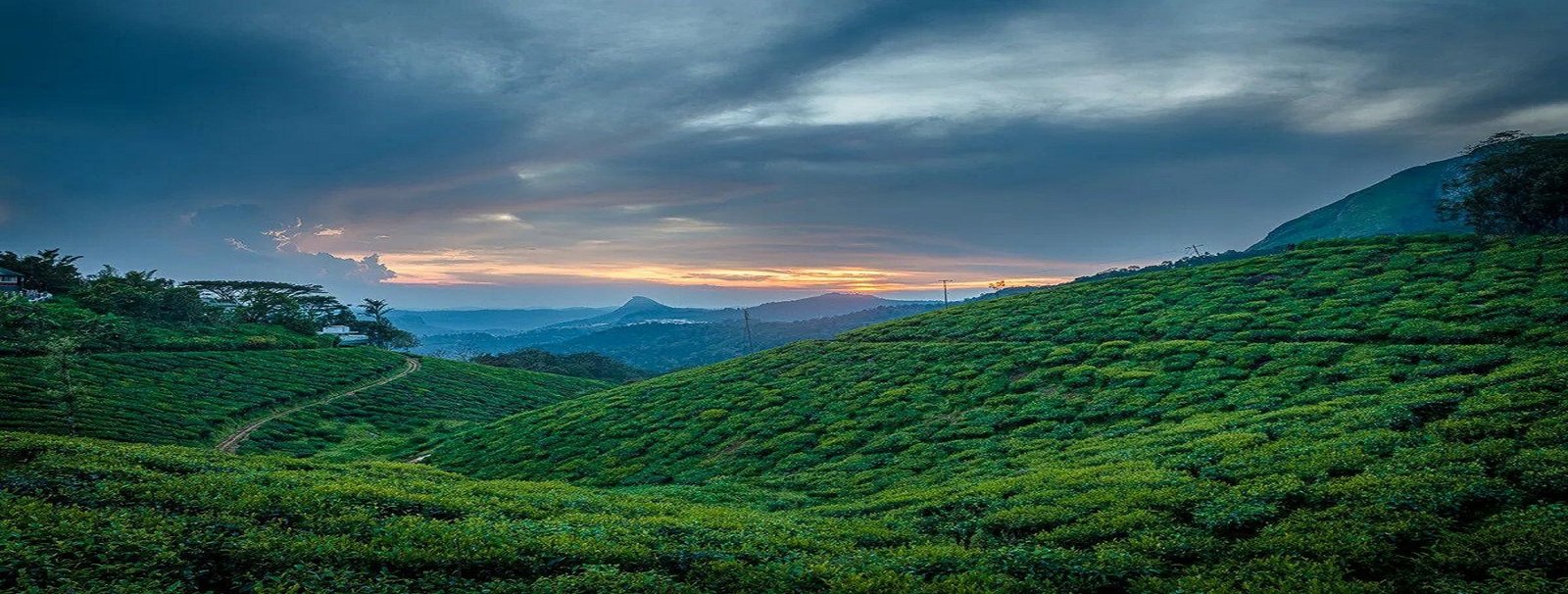 Best Places to Visit in Kerala Best Places to Visit in Kerala